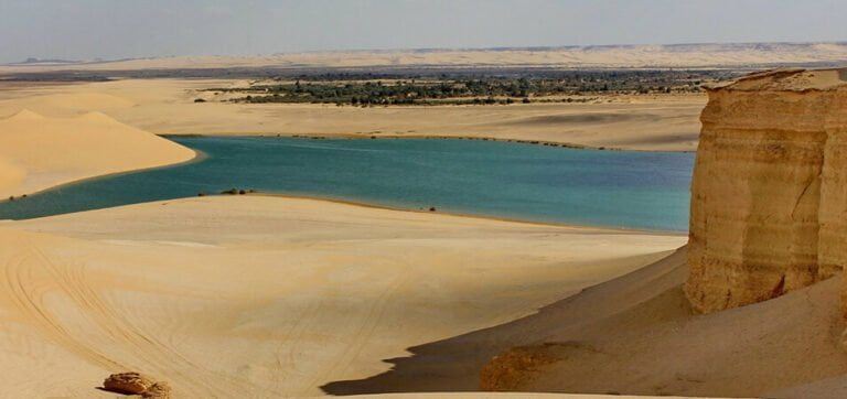 Lake Qarun: Where Nature Meets Tranquility